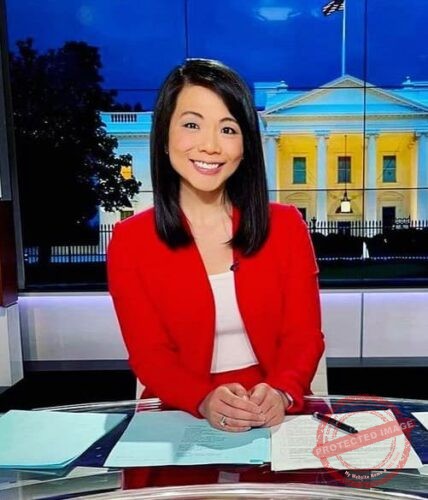 Weijia Jiang (CBS) Wiki, Husband, Age, Mustache, Salary, Net Worth, Now