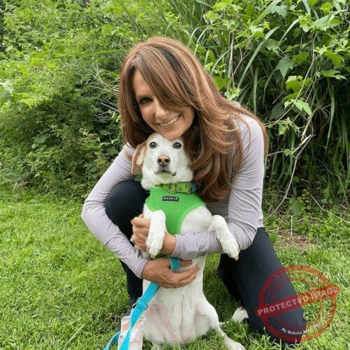 Lisa Fletcher ABC7, Bio, Age, Height, Family, Husband, Salary, Net Worth