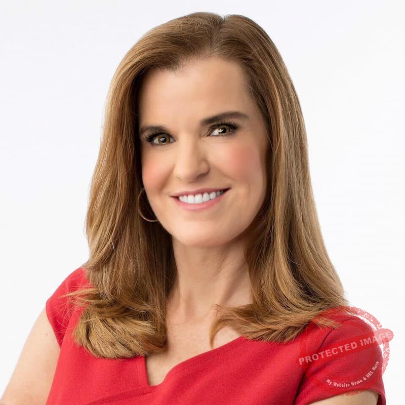 Lisa Argen ABC News, Wiki, Age, Husband, Salary, Net Worth, Weather