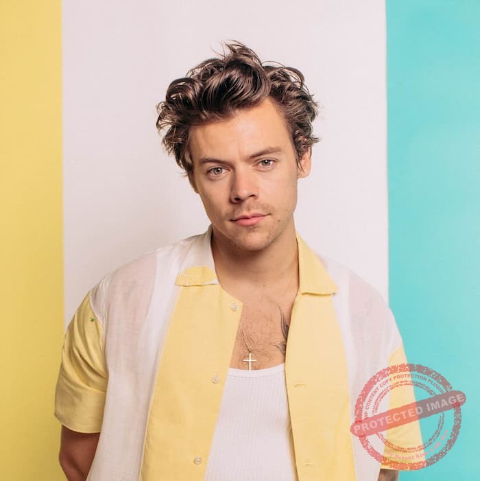 Mike Twist Bio-Wiki, Age, Parents, Harry Styles, Siblings, Wife, Net Worth