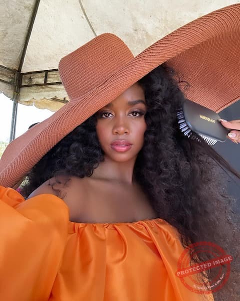 Agnes Wilson (H.E.R. Mother) Wiki, Age, Husband, Net Worth, Nationality